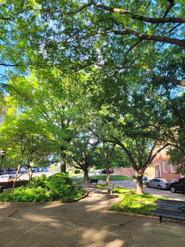 Neighborhood volunteers give Contee-Parago Park a facelift – Bolton Hill